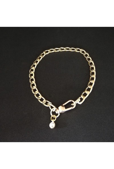 Pet Tag Art İsimlik – Güvenlik Aksesuarları Medium - 45 Cm.