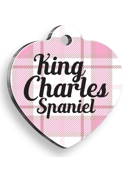 Pet Tag Art İsimlik – Güvenlik Aksesuarları Small 2,5 x 2,73 cm