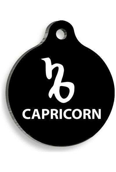 Pet Tag Art İsimlik – Güvenlik Aksesuarları Large 2,9 x 5 cm