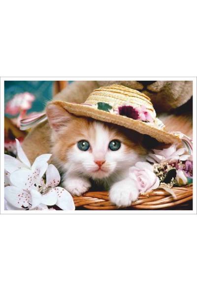 Murat Kuşe Kağıt Oto Paspas 50 Adet