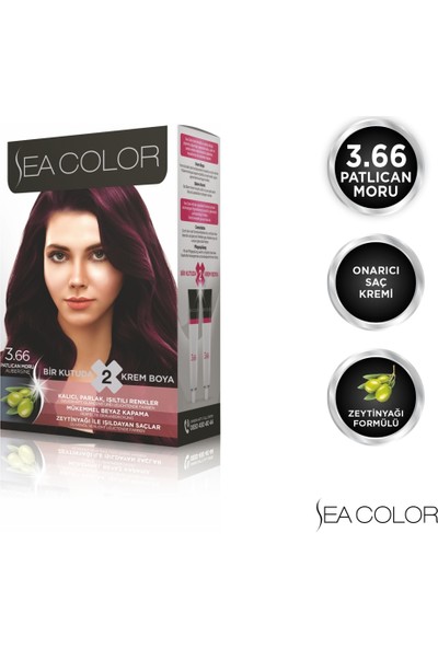 SEA COLOR 3.66 Patlıcan Moru Set Boya