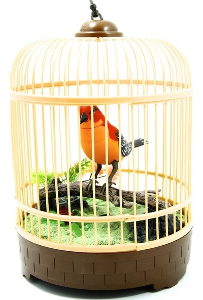 Vardem Pilli Kuş Sesli Kuş Cenneti Kafesli Öten Kuş HL518-2 Vardem Pilli Kuş Sesli Kuş Cenneti Kafesli Öten Kuş HL518-2