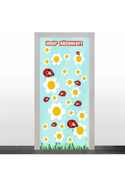 Okularenkkat Uğur Böcekleri Sınıfı Kapı Giydirme