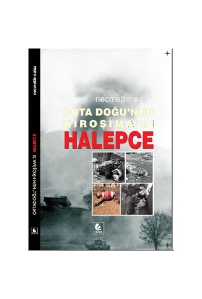 Orta Doğu’nun Hiroşiması: Halepce