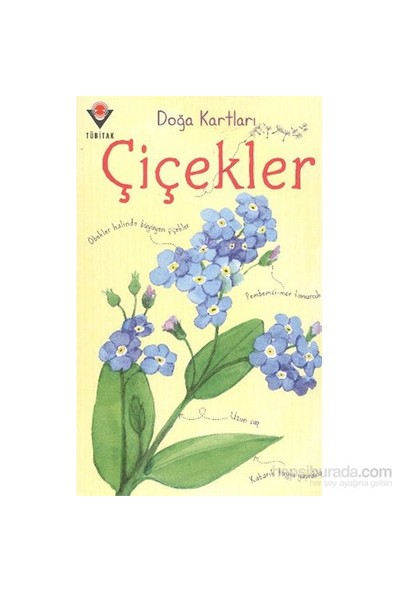 Doğa Kartları Çiçekler - Emily Bon