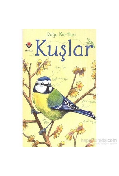 Doğa Kartları Kuşlar - Emily Bon