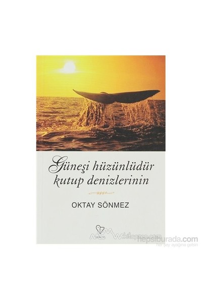 Güneşi Hüzünlüdür Kutup Denizlerinin-Oktay Sönmez