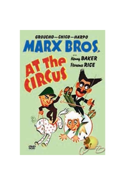 At The Circus (üç Ahbap Çavuşlar Sirkte) ( DVD )