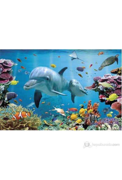 Tropical Underwater Ocean Maxi Poster