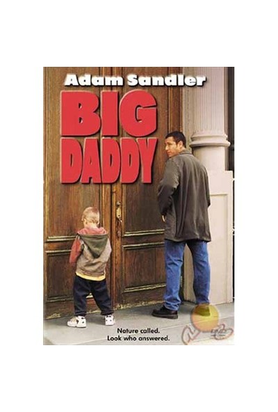 Big Daddy (Süper Baba) ( DVD )