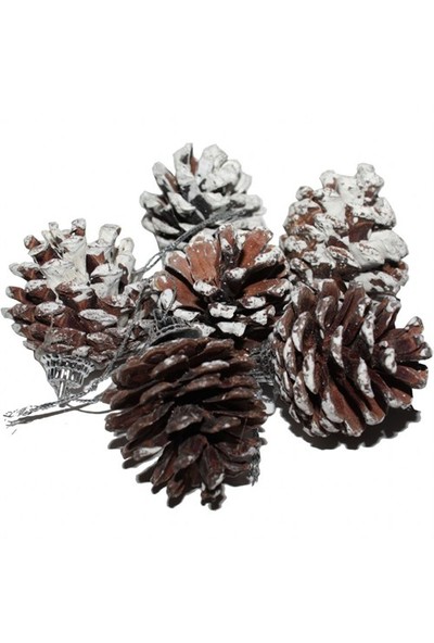 6 Lı Kar Efektli Kozalak Çam Ağacı Süsleri