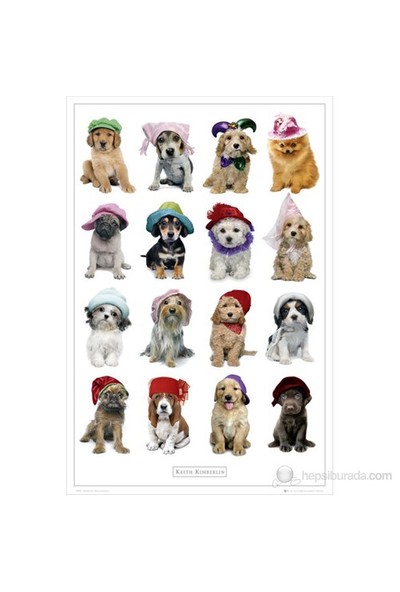 Keith Kimberlin Hats Maxi Poster Keith Kimberlin Hats Maxi Poster