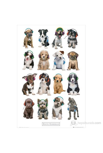 Keith Kimberlin Puppies Headphones Maxi Poster Keith Kimberlin Puppies Headphones Maxi Poster
