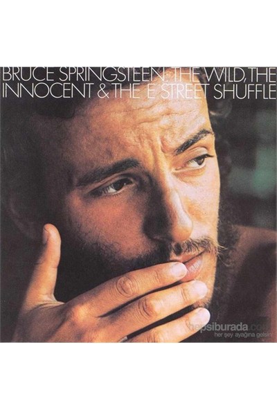 Bruce Springsteen - The Wild, The Innocent And The E Street Shuffle