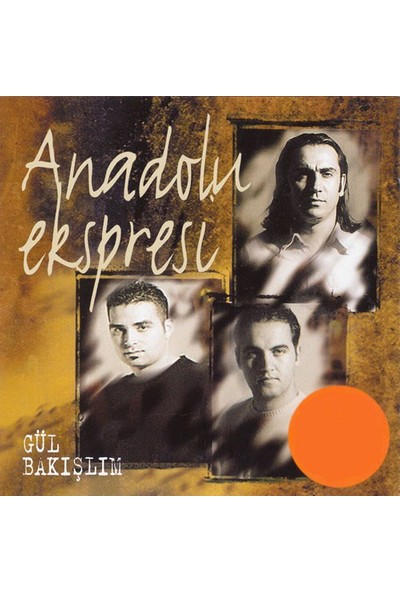 Anadolu Ekspresi / Gül Bakışlım