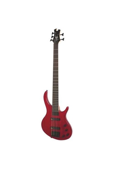 Epiphone Toby Deluxe V Bas Gitar (Trans Red) Epiphone Toby Deluxe V Bas Gitar (Trans Red)