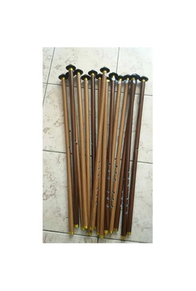 Kız Ney Plastik Ekonomik Öğrenci