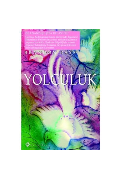 Yolculuk - Brandon Bays