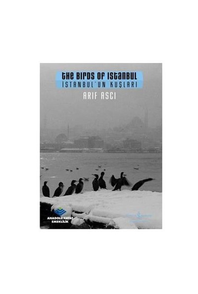 Para, Bankalar ve Ekonomi