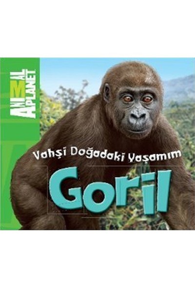 Vahşi Doğadaki Yaşamım: Goril - Meredith Costain