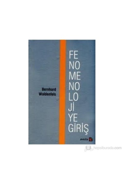 Fenomenolojiye Giriş - Bernhard Waldenfels