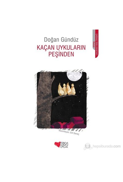 Kaçan Uykuların Peşinde-Doğan Gündüz