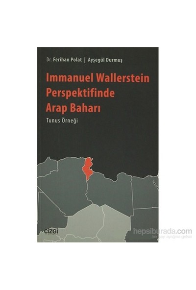 Immanuel Wallerstein Perspektifinde Arap Baharı Tunus Örneği - Ayşegül Durmuş