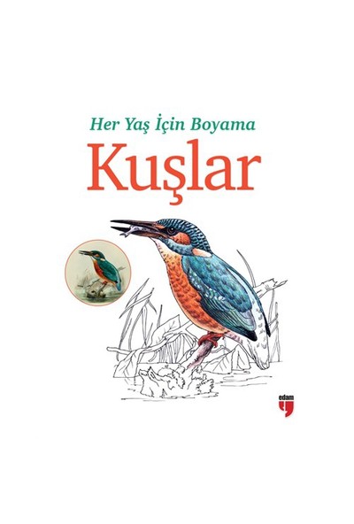 Her Yaş İçin Boyama: Kuşlar-Kolektif