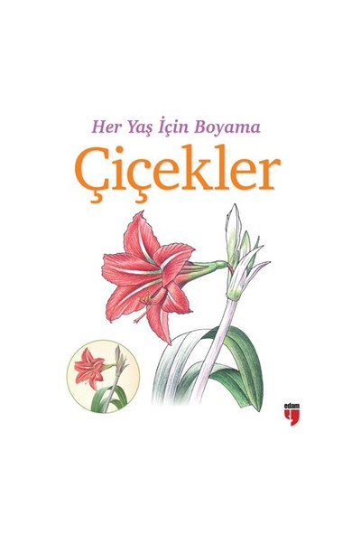 Her Yaş İçin Boyama: Çiçekler-Kolektif