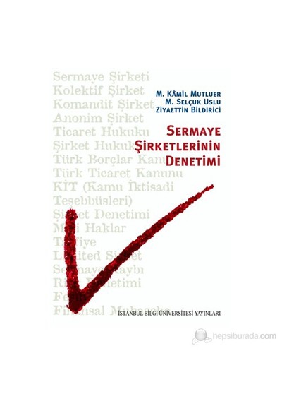 Sermaye Şirketlerinin Denetimi-Ziyaettin Bildirici Sermaye Şirketlerinin Denetimi-Ziyaettin Bildirici