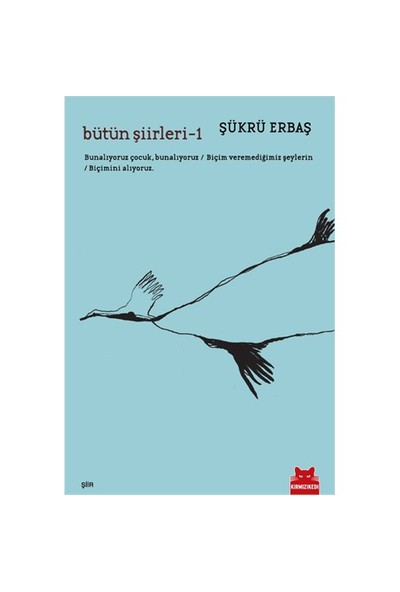 Bütün Şiirleri 1 - Şükrü Erbaş