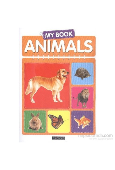 My Book Animals-Kolektif
