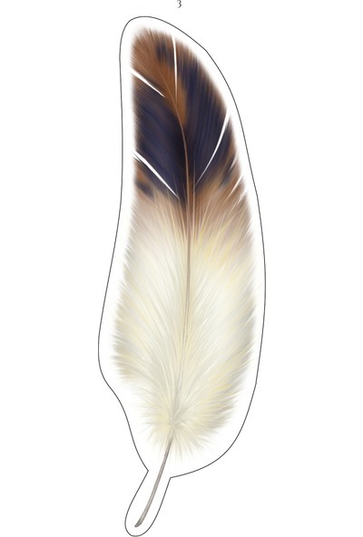 İstisna Funy Bookmarks Kuş Tüyü Kitap Ayracı Serisi İstisna Funy Bookmarks Kuş Tüyü Kitap Ayracı Serisi
