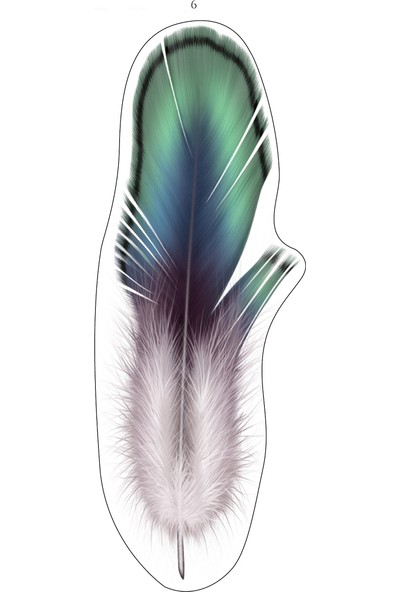 İstisna Funy Bookmarks Kuş Tüyü Kitap Ayracı Serisi İstisna Funy Bookmarks Kuş Tüyü Kitap Ayracı Serisi