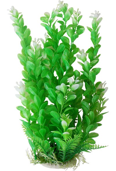 Xıongfa Plastik Bitki 35 Cm Xıongfa Plastik Bitki 35 Cm