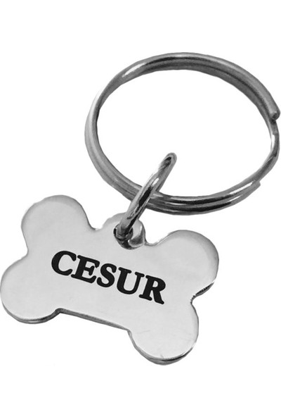 Mg Küçük Ve Orta Boy Köpekler ve Kediler İçin Kişiye Özel Künye,(İsimlik) Mg Küçük Ve Orta Boy Köpekler ve Kediler İçin Kişiye Özel Künye,(İsimlik)