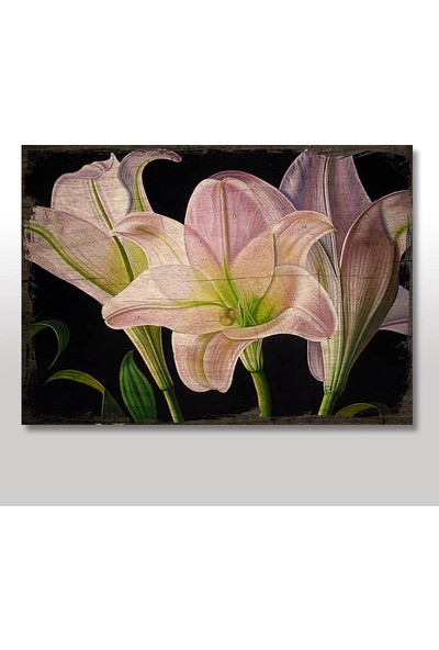 Cakasepetim Ahşap Tablo Yağlı Boya Beyaz Çiçek