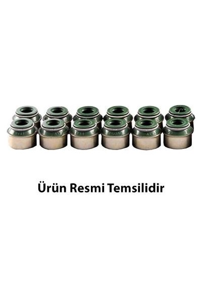 REINZ PEUGEOT BIPPER Subap Lastiği 2010 - 2015 REINZ PEUGEOT BIPPER Subap Lastiği 2010 - 2015