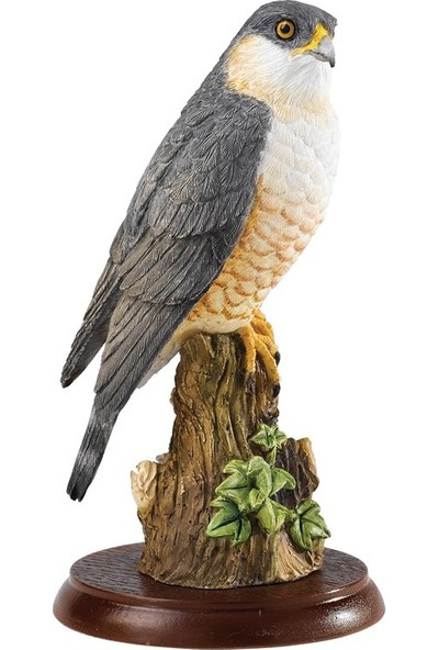 Border Fine Arts Sparrow Hawk Biblo Border Fine Arts Sparrow Hawk Biblo