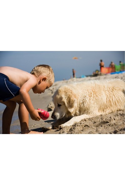 Kong Classic Large 10Cm