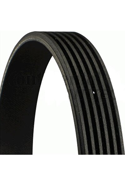 CONTITECH DACIA PICK-UP Kanallı Kayış 2000 - 2005