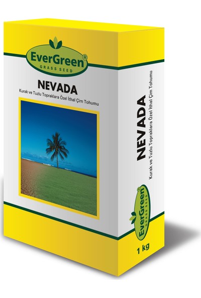 Evergreen Nevada Sıcak İklim İçin Çim Tohumu 1 kg Kutu