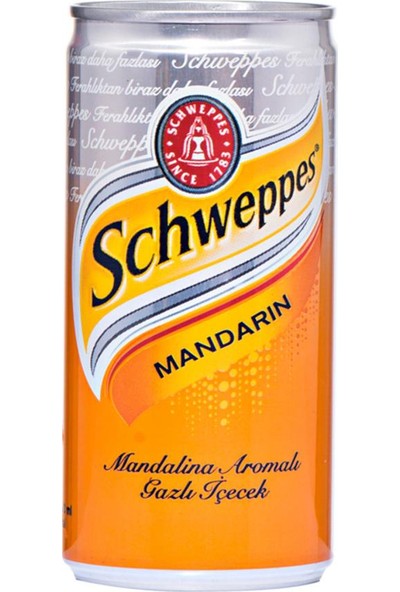 Coca Cola Schweppes 200 ml Kutu 24 Adet