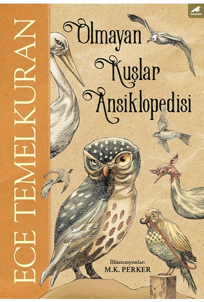 Olmayan Kuşlar Ansiklopedisi - Ece Temelkuran
