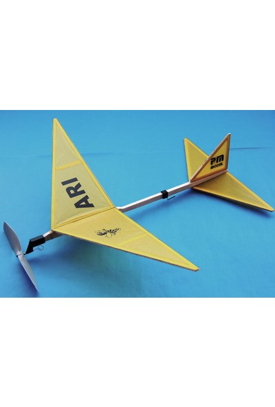 Pm Model Crewturk Arı Model Plastik Maket Pm Model Crewturk Arı Model Plastik Maket