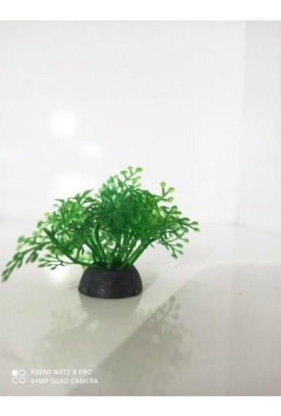 OEM Plastik Bitki 5 cm Zemin Bitkisi OEM Plastik Bitki 5 cm Zemin Bitkisi