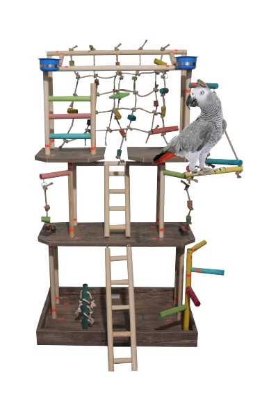 Merkez Av Papağan Tüneği Oyun Alanı Papağan Oyuncak Tünek 4