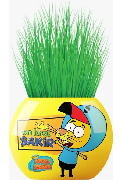 Grultu Çim Adam Figür Kral Şakir En Kral Şakir, Cocopeat & Torflu Toprak, İngiliz Çimi, Kedi Otu KRS12 Grultu Çim Adam Figür Kral Şakir En Kral Şakir, Cocopeat & Torflu Toprak, İngiliz Çimi, Kedi Otu KRS12
