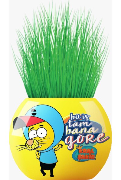 Grultu Çim Adam Figür Kral Şakir Bu İş Tam Bana Göre, Cocopeat & Torflu Toprak, İngiliz Çimi, Kedi Otu KRS13 Grultu Çim Adam Figür Kral Şakir Bu İş Tam Bana Göre, Cocopeat & Torflu Toprak, İngiliz Çimi, Kedi Otu KRS13