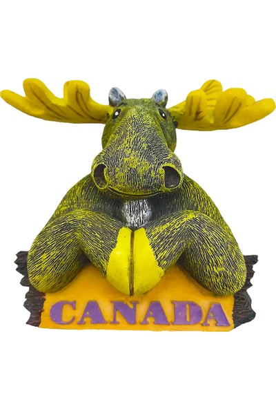 Vera Amerika Şehirleri Kanada Buzdolabı Magneti